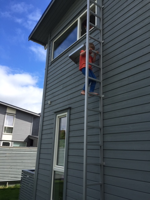 MODUM Fire Escape Ladder ( 2.4 m x 6 psc ) BLACK AVAILABLE O...